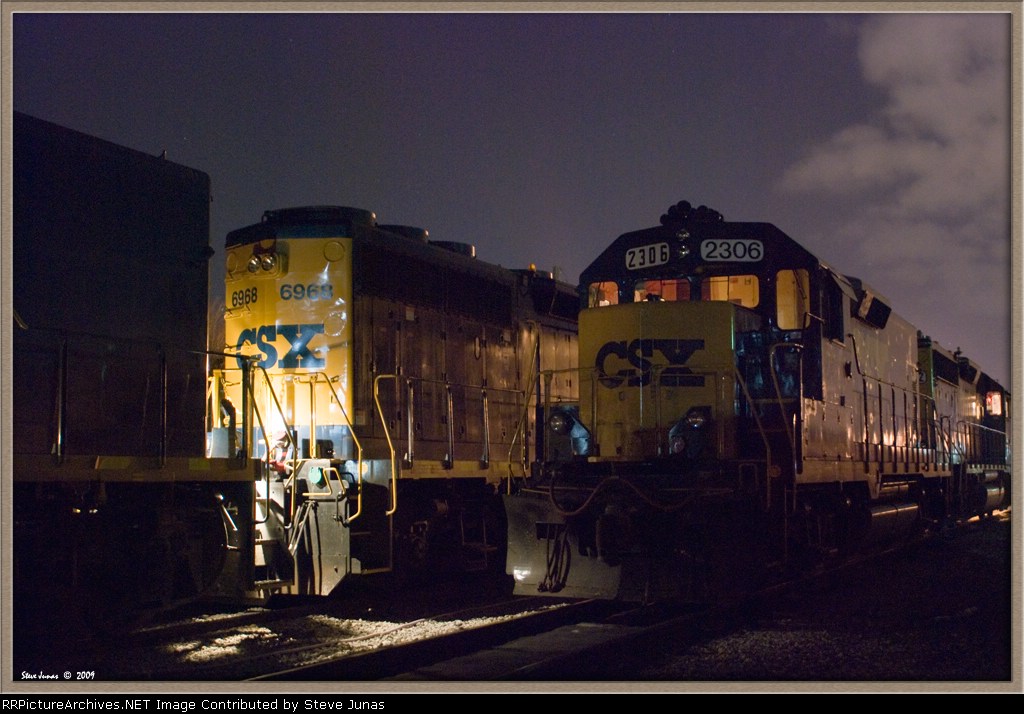 Early spring yard pictures